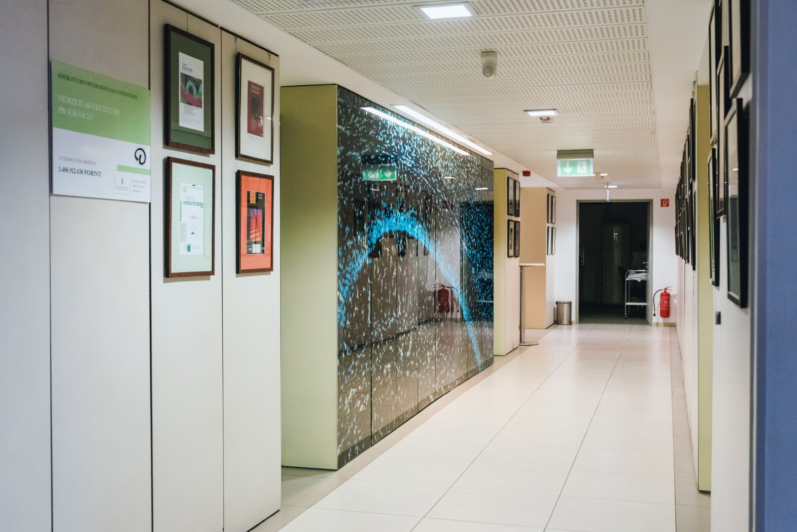 Introduction | Institute of Experimental Medicine